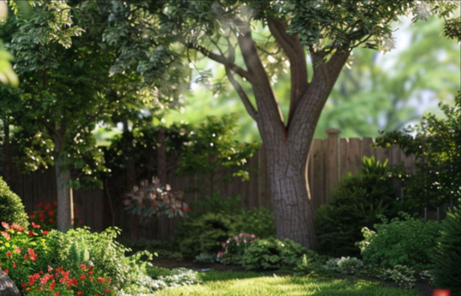 About Tree Preservation Group | Expert Arborists Serving Brazos Valley - Tree Preservation Group ...